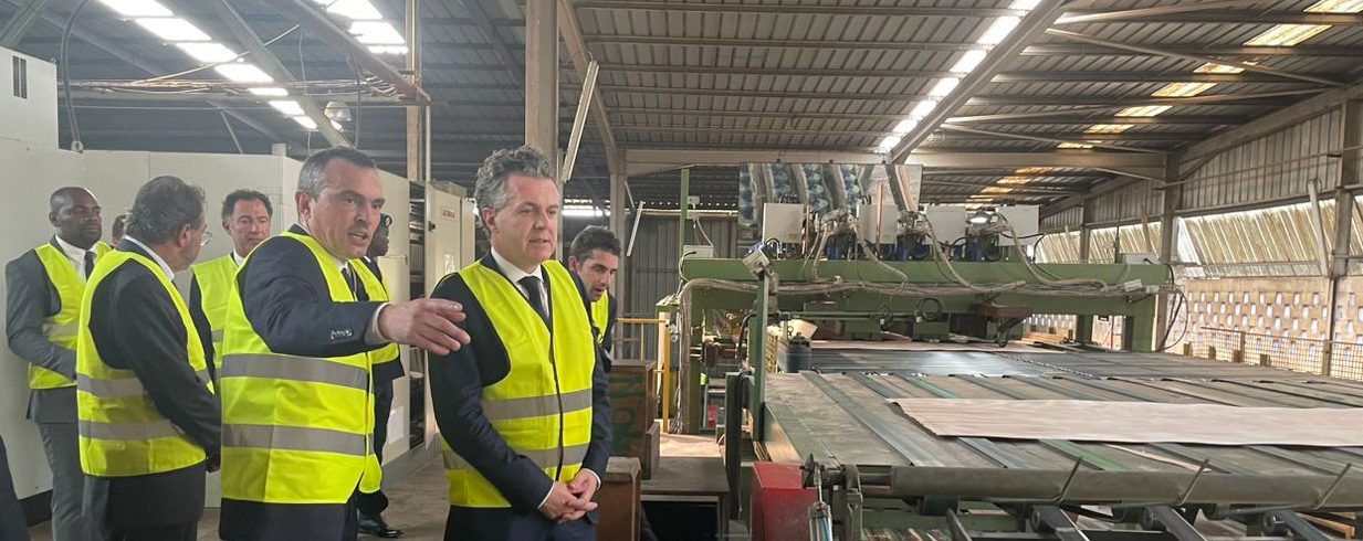 One Forest Summit : A la Rencontre des Opérateurs français de la ...